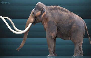 Mamute: o que eram, características, onde viviam, o que comiam e extinção